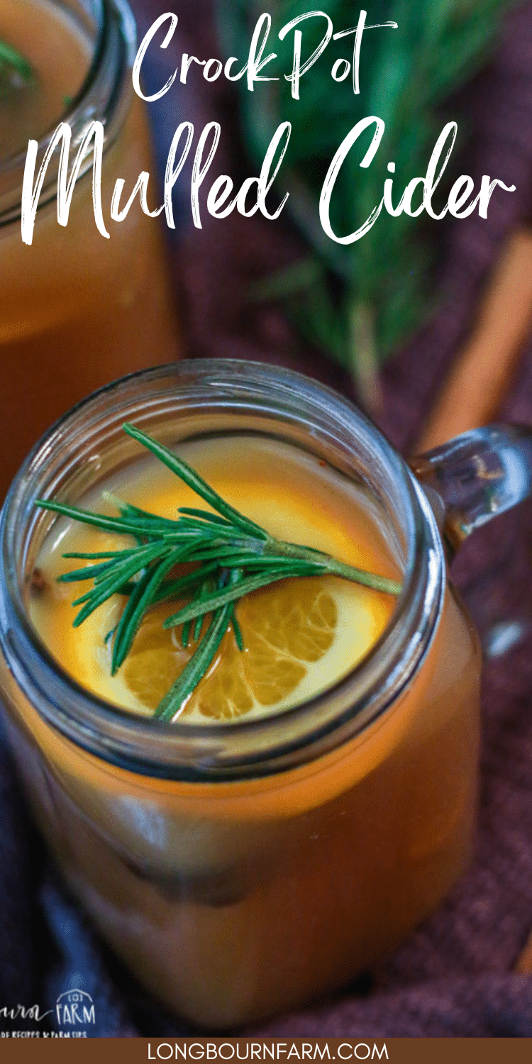 Easy Mulled Cider Recipe - Longbourn Farm
