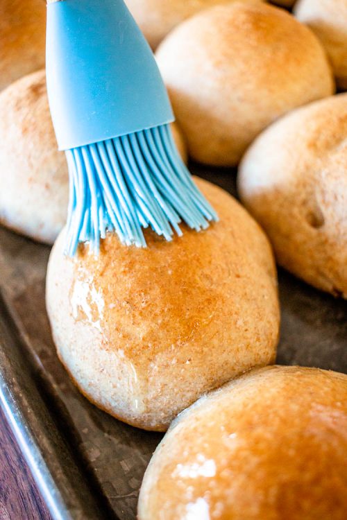 Honey Wheat Rolls • Longbourn Farm