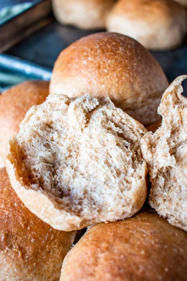 Honey Wheat Rolls • Longbourn Farm