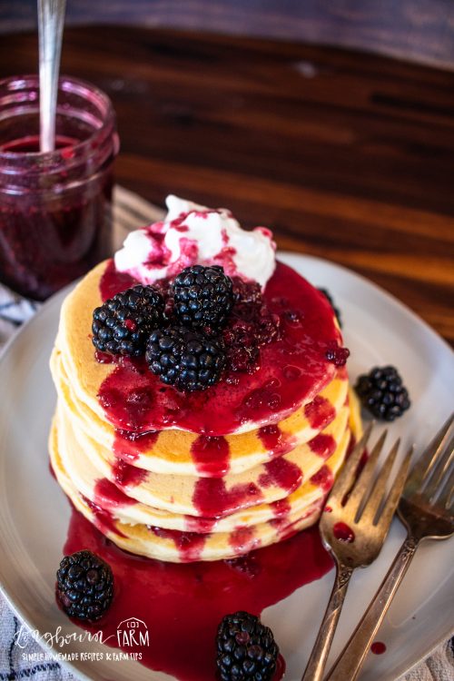 Homemade Blackberry Syrup Recipe: A 10-Minute Sweet Treat • Longbourn Farm