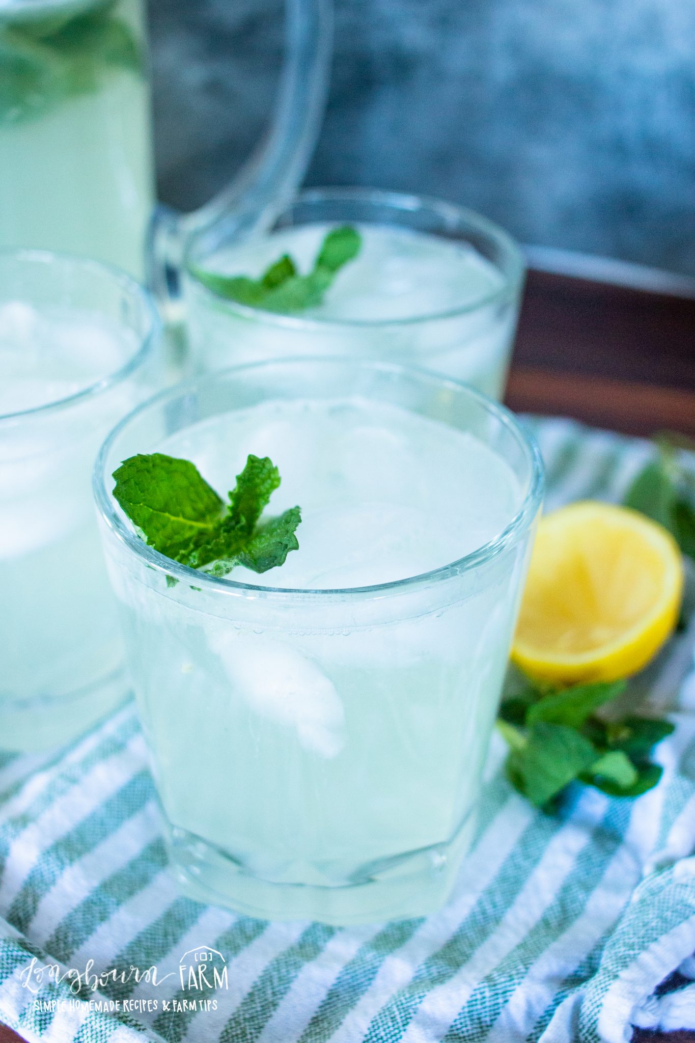 Refreshing Citrus Lemonade That Kids and Adults Love • Longbourn Farm