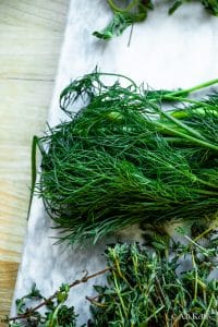All About Herbs • Longbourn Farm