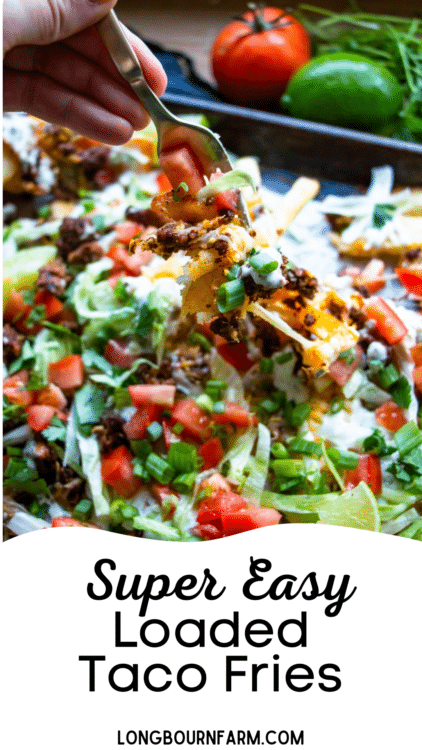 Irresistible Loaded Taco Fries In 30 Minutes • Longbourn Farm