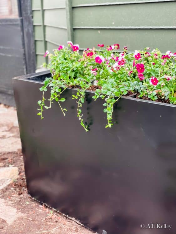 File Cabinet Planter Longbourn Farm