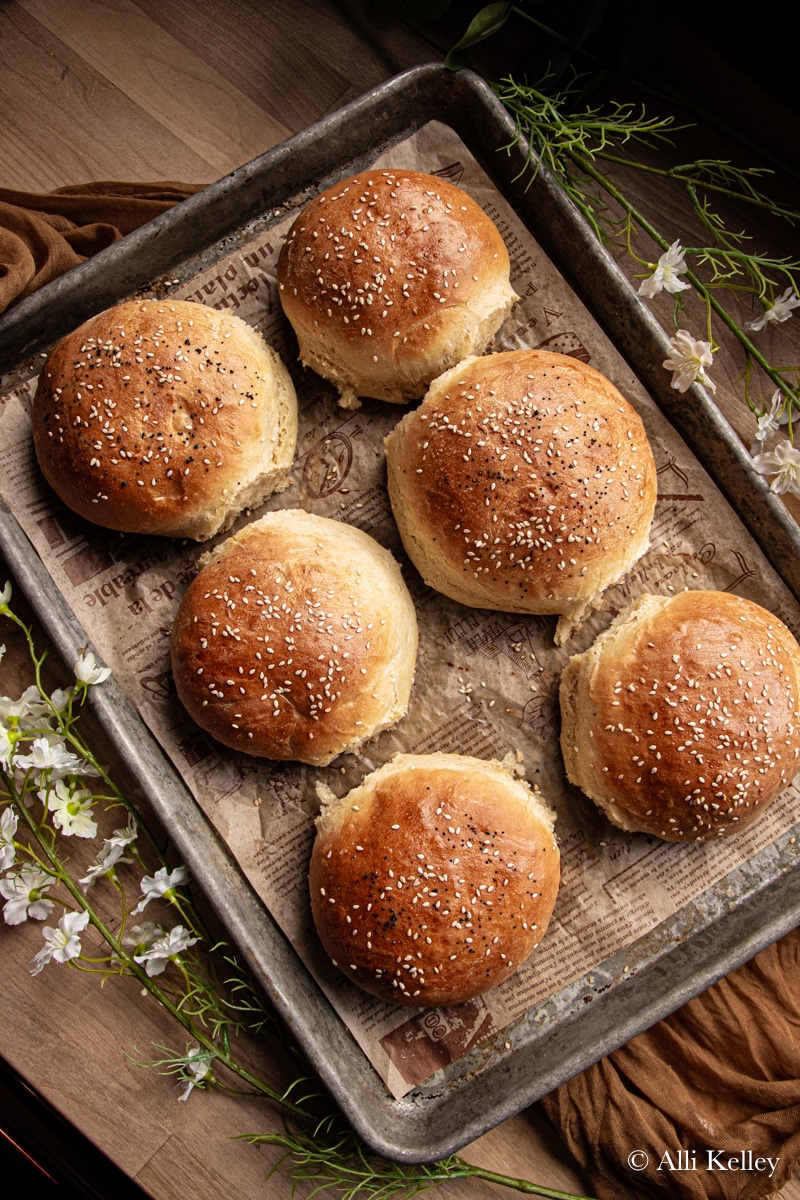 Hamburger Buns • Longbourn Farm