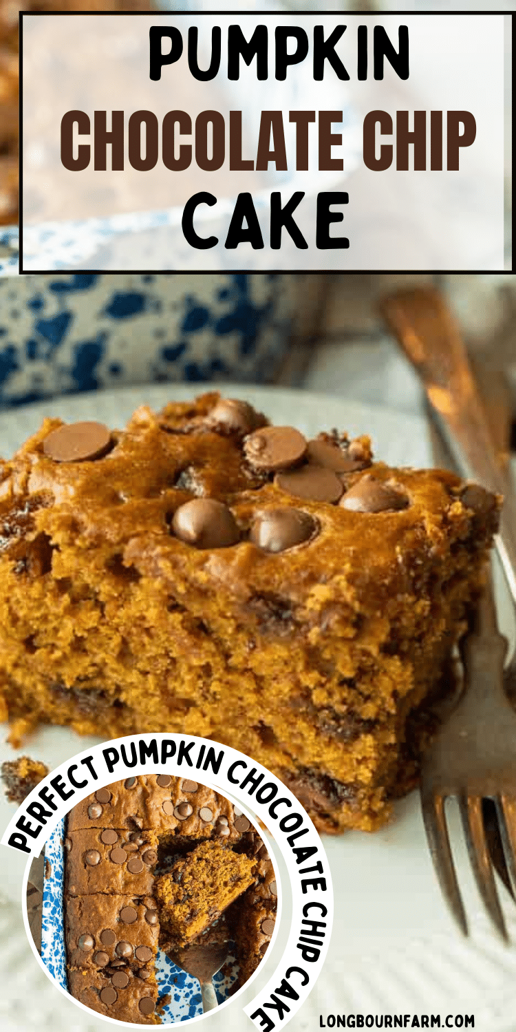 Moist Pumpkin Chocolate Chip Cake Recipe (Easy & Perfect!) • Longbourn Farm