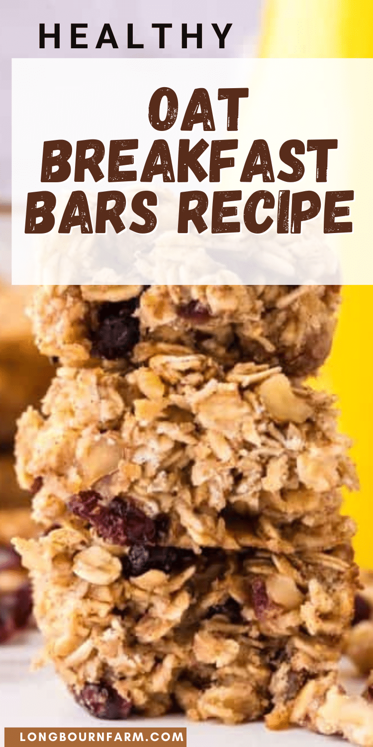 Healthy Oat Breakfast Bars Recipe {Easy Make-Ahead Breakfast ...